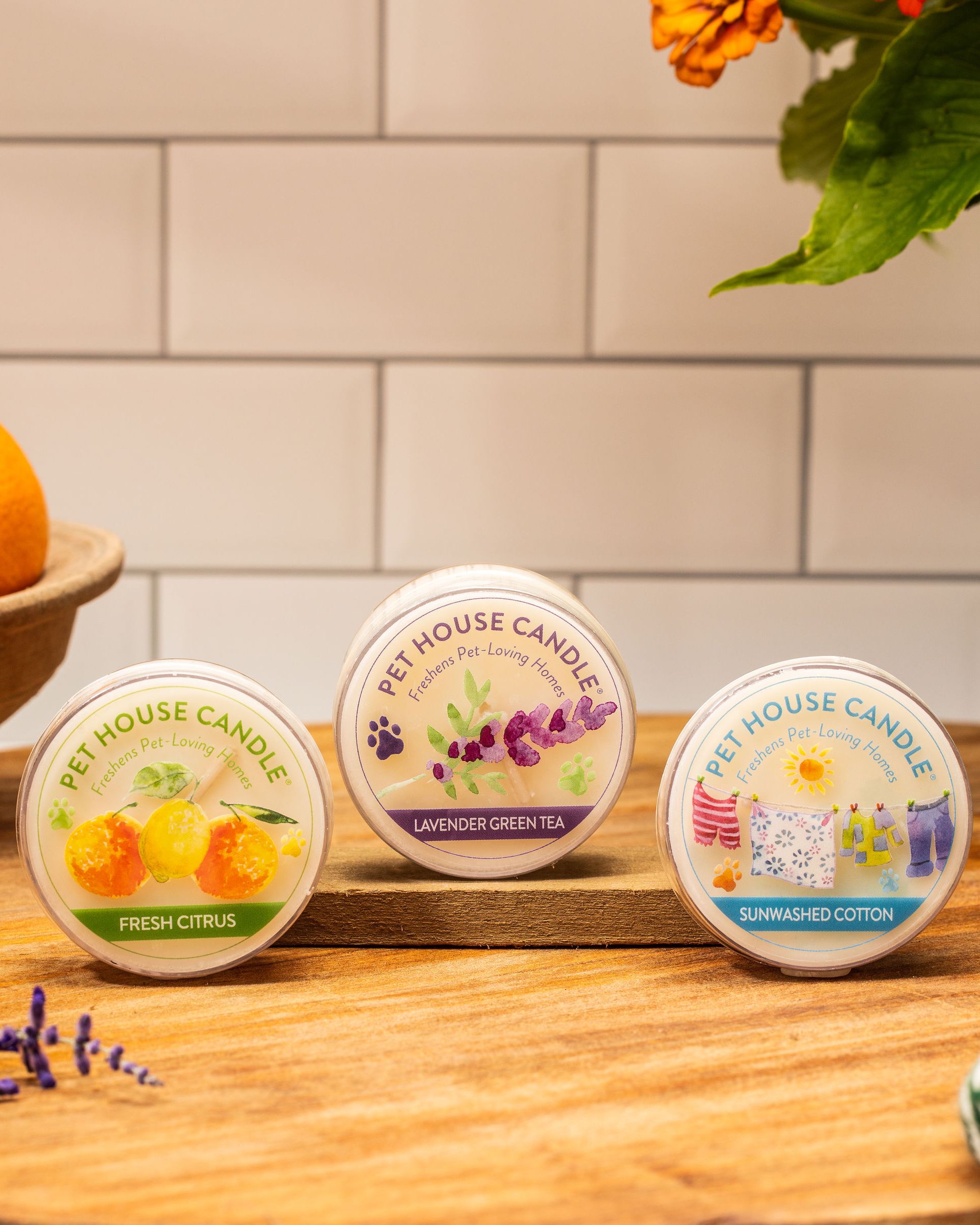 Collections – One Fur All