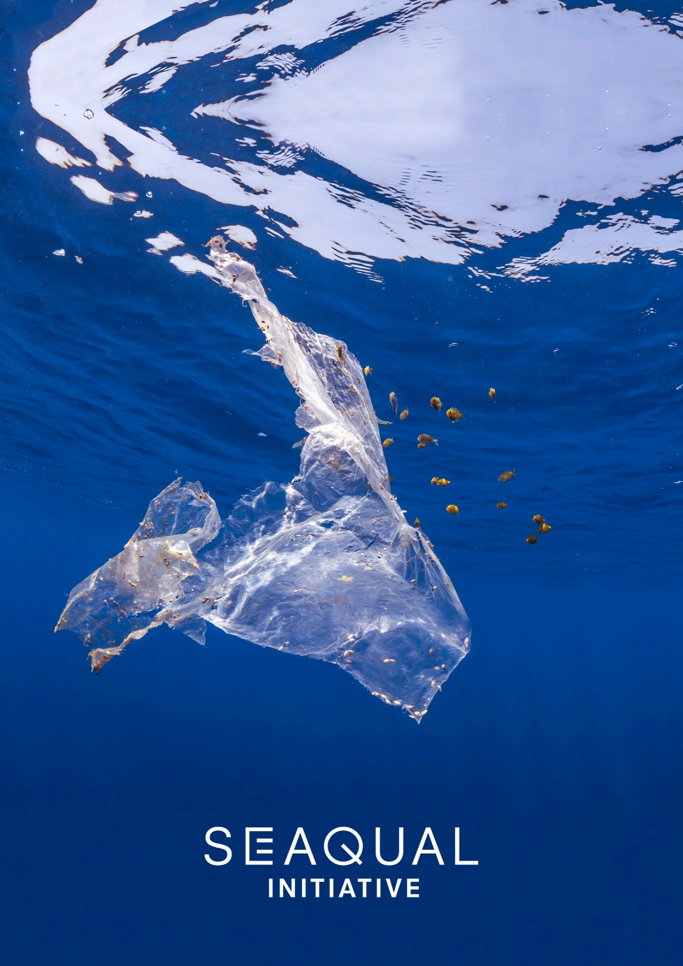 Our partnership with SEAQUAL® INITIATIVE - Clae