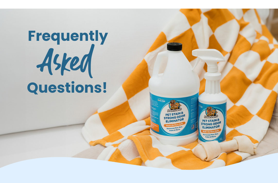 Do you have any questions? - Furry Freshness