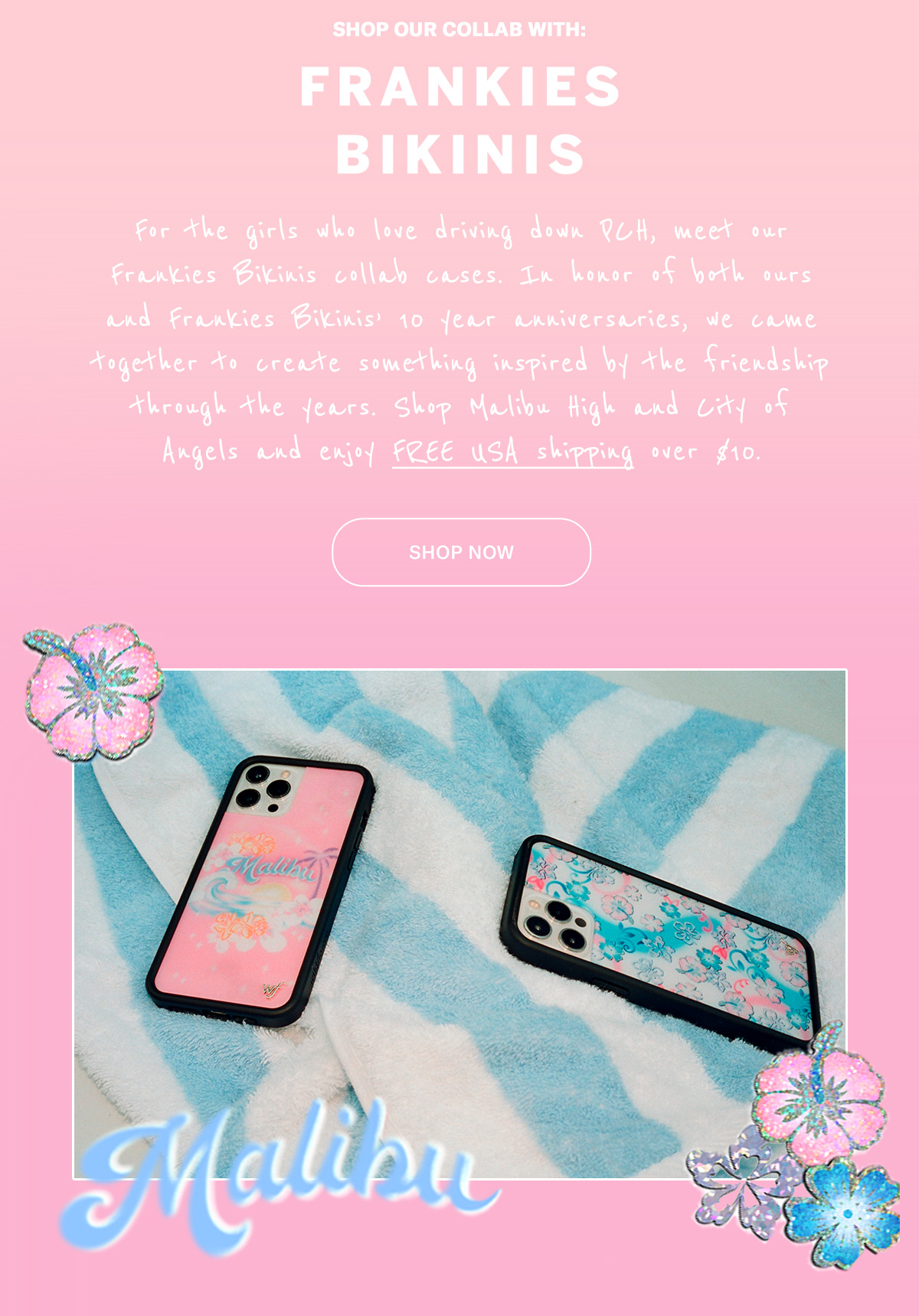 NEW FRANKIES COLLAB 💖🦋🏝️ - Wildflower Cases