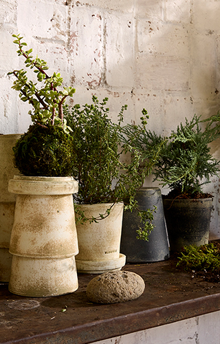 Amanda Luu / Studio Mondine's Favorites