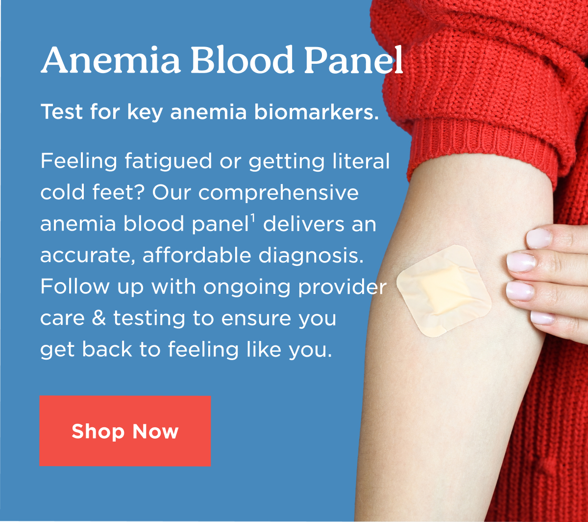 Introducing our new Anemia Blood Panel - Wisp