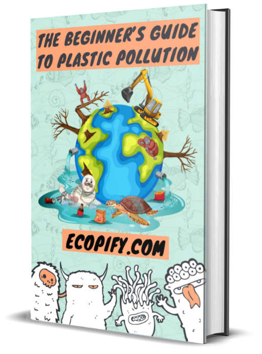The Beginner’s Guide To Plastic Pollution Ebook | Ecopify