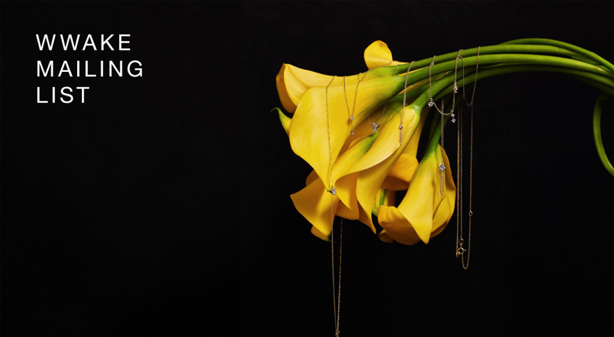 THE LINEAGE COLLECTION – WWAKE