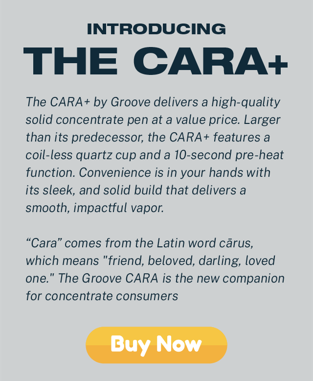 New Groove Cara+ Vaporizer - Vape World