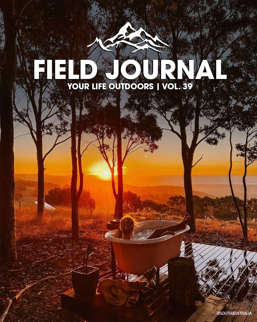 Field Journal Vol.39