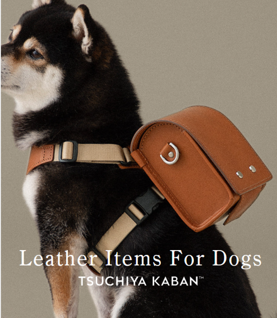 大切な家族と過ごす時間を、より心豊かなものにできたなら──。そんな思いから、キャリーバッグやリードなど、5つのアイテムをご用意しました。