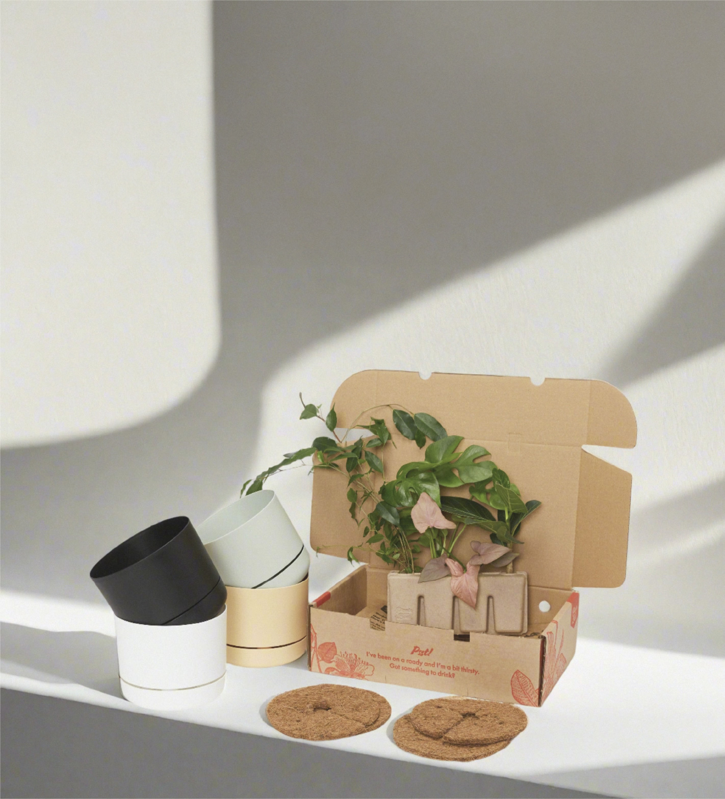 Buy Plants & Pots Online Australia | FREE Shipping | Plants in a Box