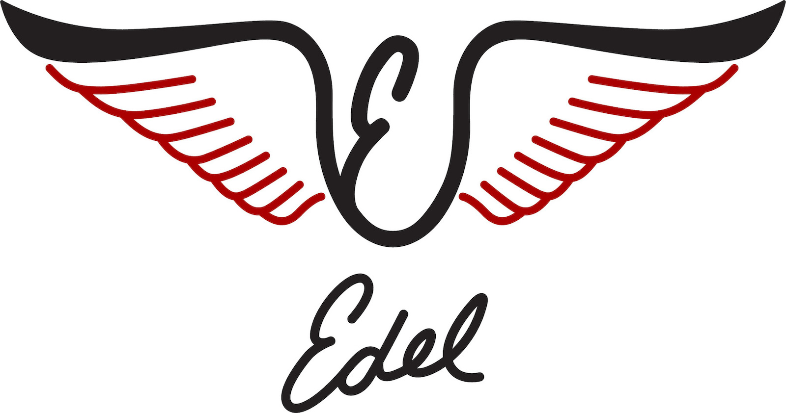Custom Irons, Wedges, and Putters by Edel Golf