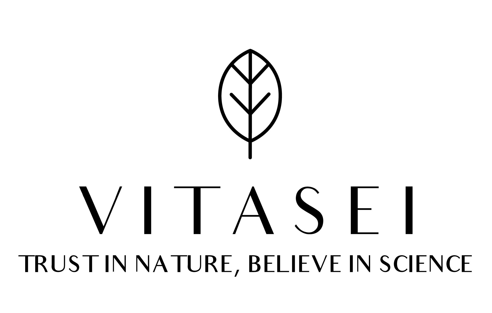 Build A Box Vitasei build-a-box-vitasei