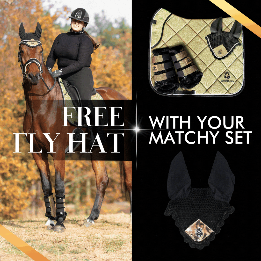 Free Fly Hat with Your Matchy Set! 🦄🎁 - Equestroom