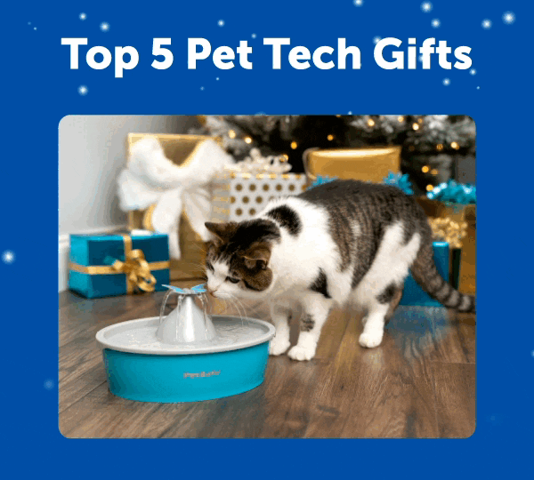 Top 5 Pet Tech Gifts for Dogs & Cats