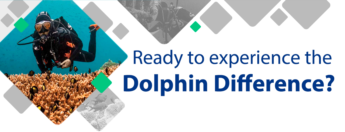 Dive Trips - Group Travel - DolphinScuba.com, Inc.