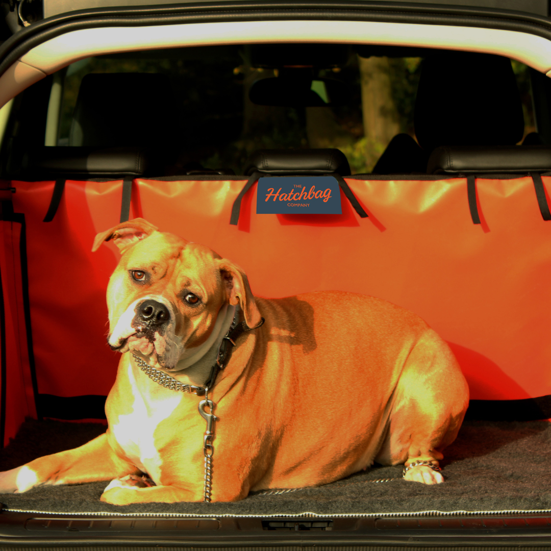 Volkswagen ID.4 Kofferbak beschermer op maat |Hatchbag NL