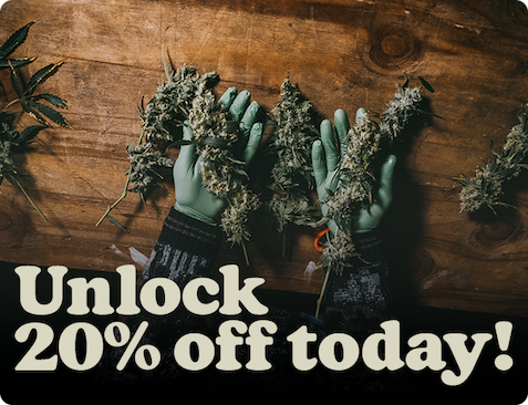 Frosted Flakes Weed Strain Information and Review - I Love Growing ...