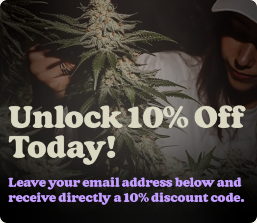 Sea Of Green (SOG) Marijuana Growing Method - I Love Growing Marijuana