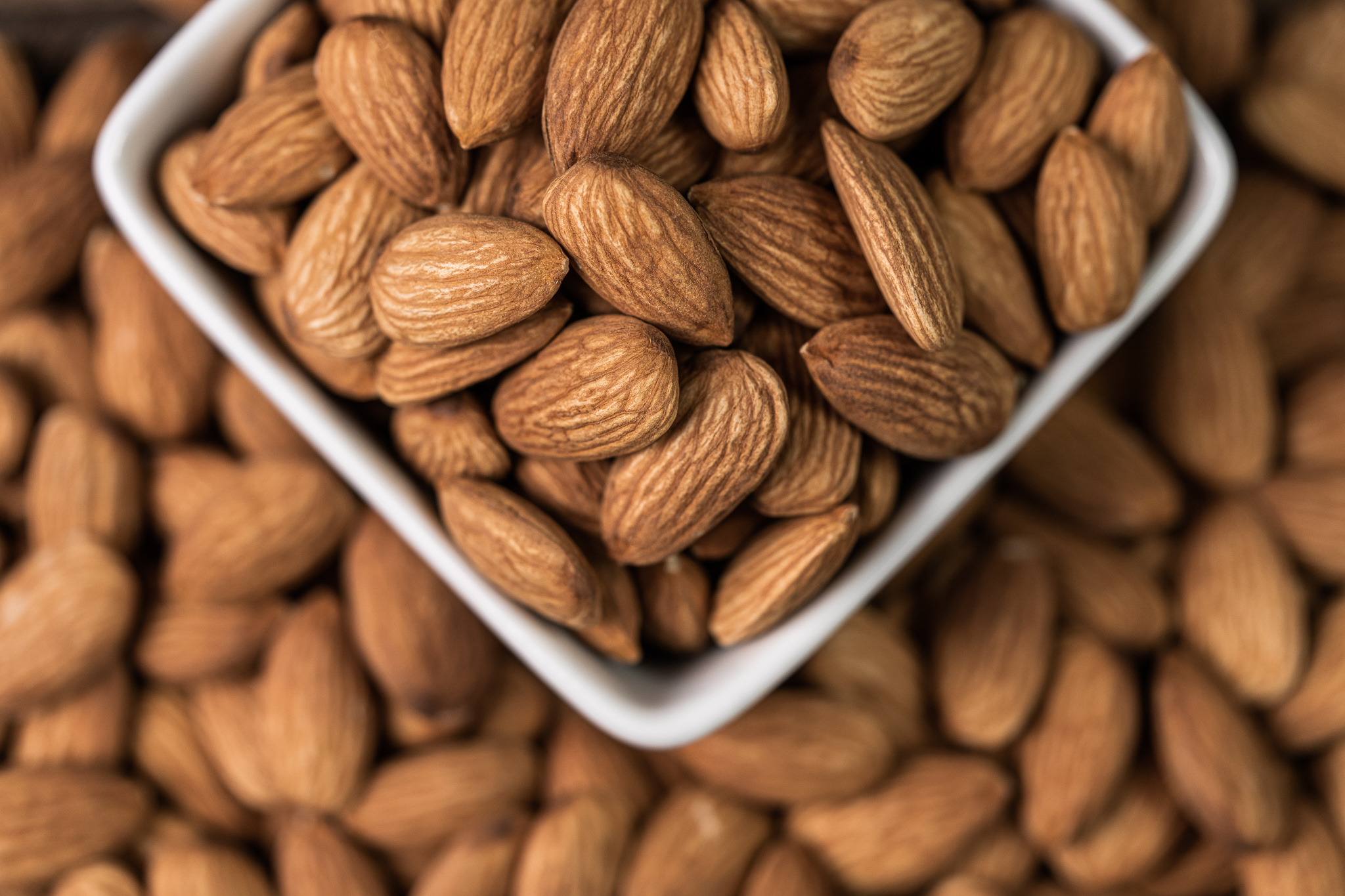 Natural Brown Raw Almonds – Stewart & Jasper Orchards