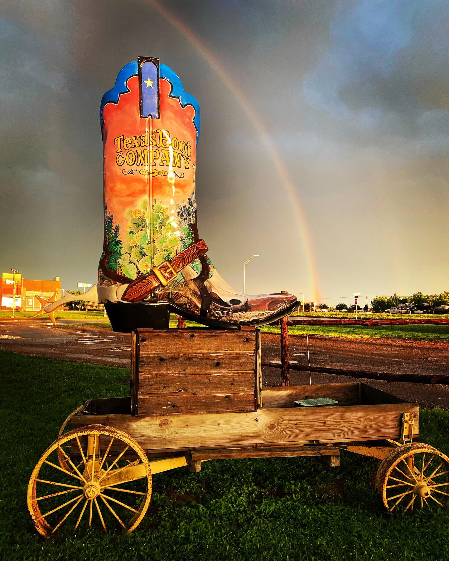 Lucchese Mens Rowdy Caiman Boots – Texas Boot Company