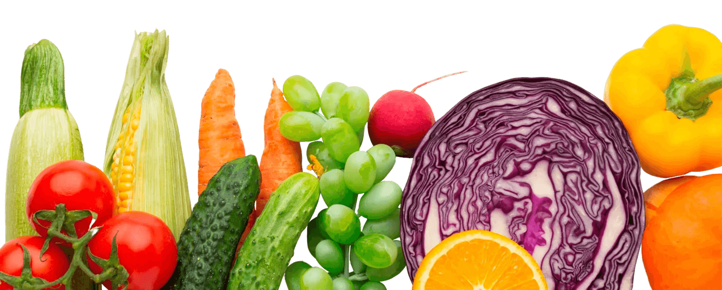 Collections – Vegan Essentials