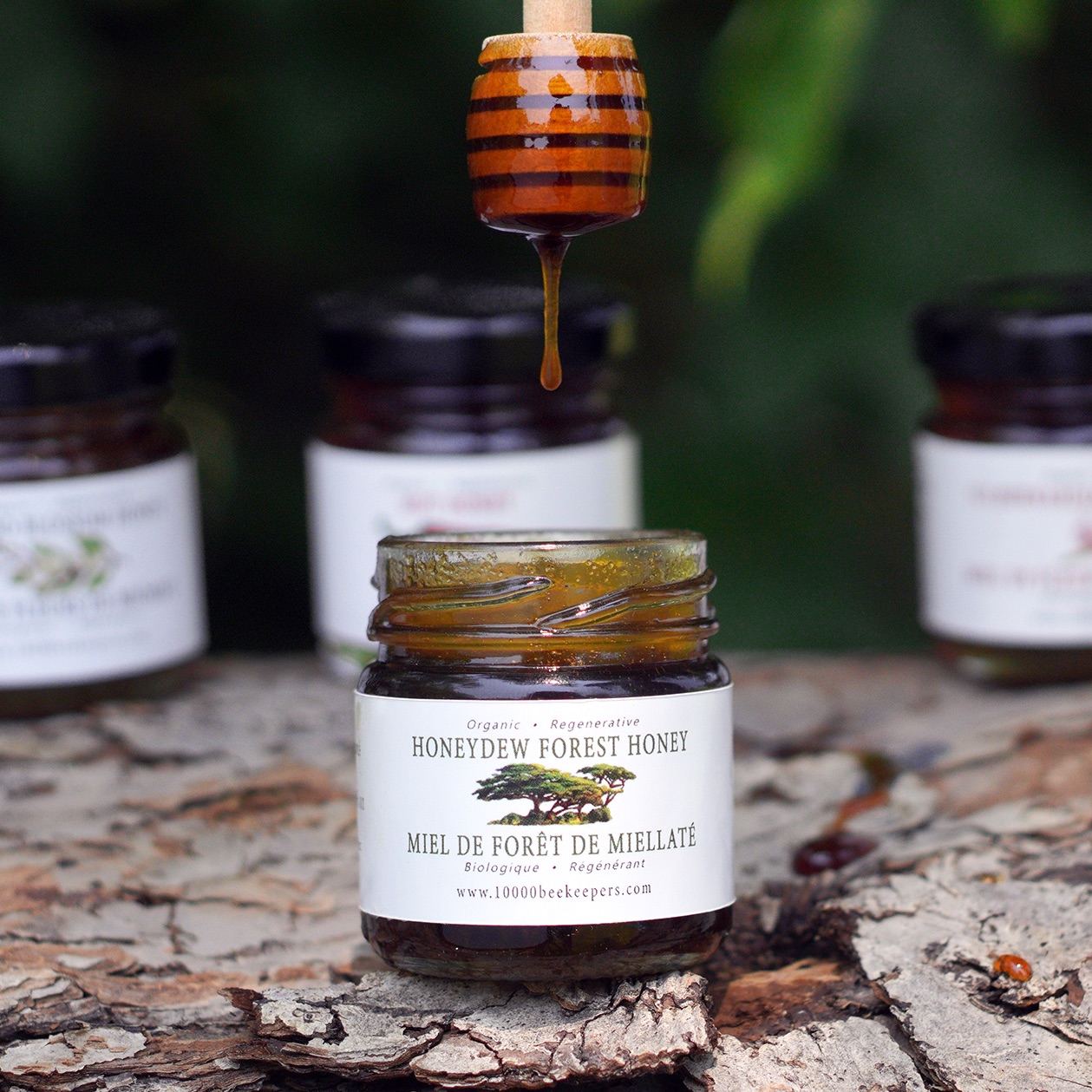 Feedback – African Bronze Honey / 10000 Beekeepers