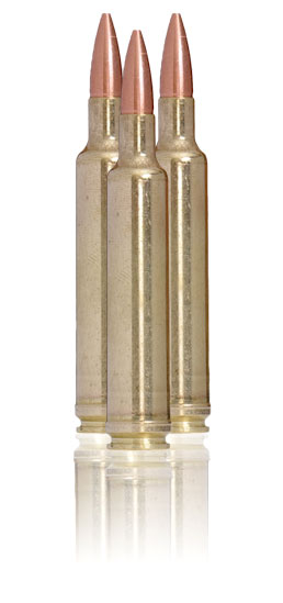 Hammer Bullets in Cartridges