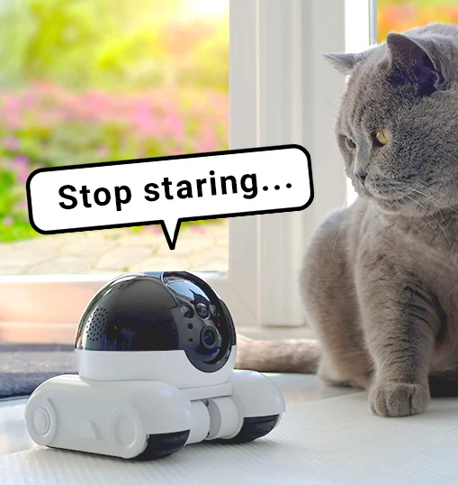 About Us – Patrol Bot