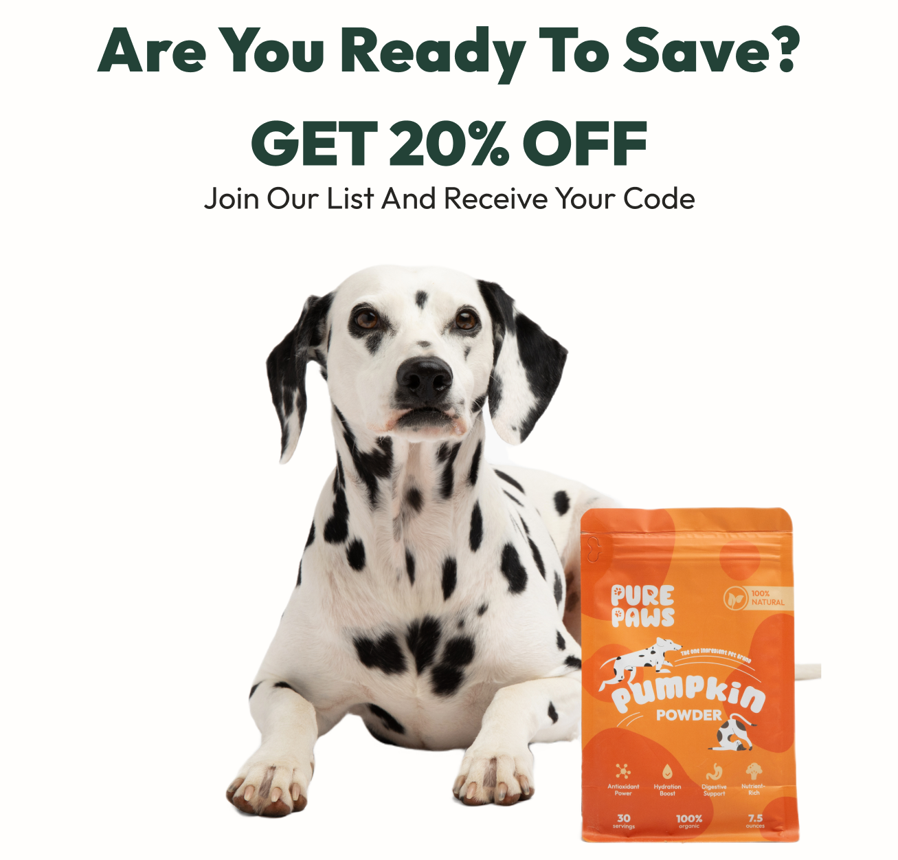 Get in touch with Pure Paws | Your Wellness Partner for Pets.