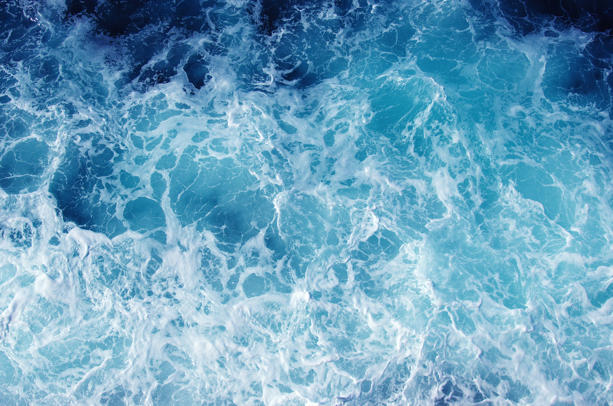 Contact – Fat Mermaid Bio-Available Liquid Marine Collagen