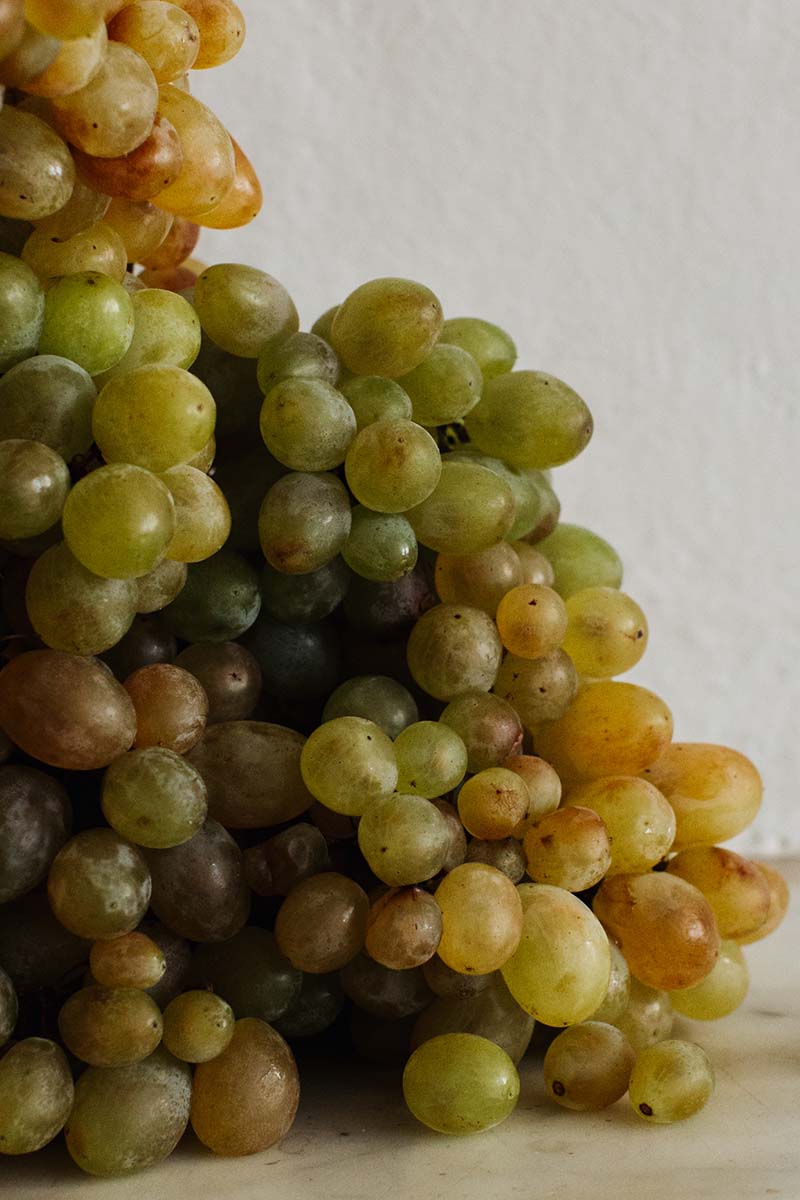 All Wine Glasses – Plumm