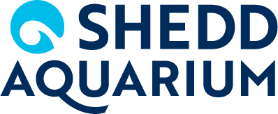 Summer 2024 - Shedd Aquarium Shop