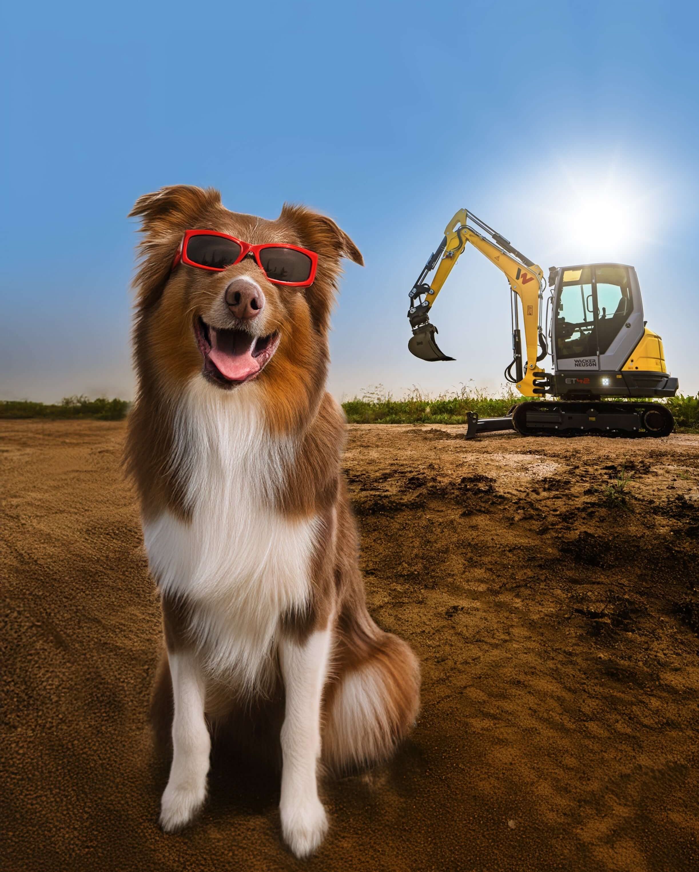 Notre gamme Wacker Neuson : pelles mécaniques, chargeurs et plus ...