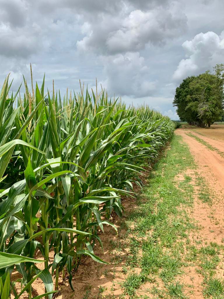 Contact us - ExcelAg