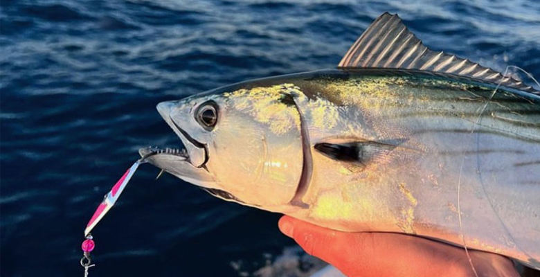 Shop Fishing Kits at Clarkspoon | Shop Clarkspoon Fishing Tackle and ...