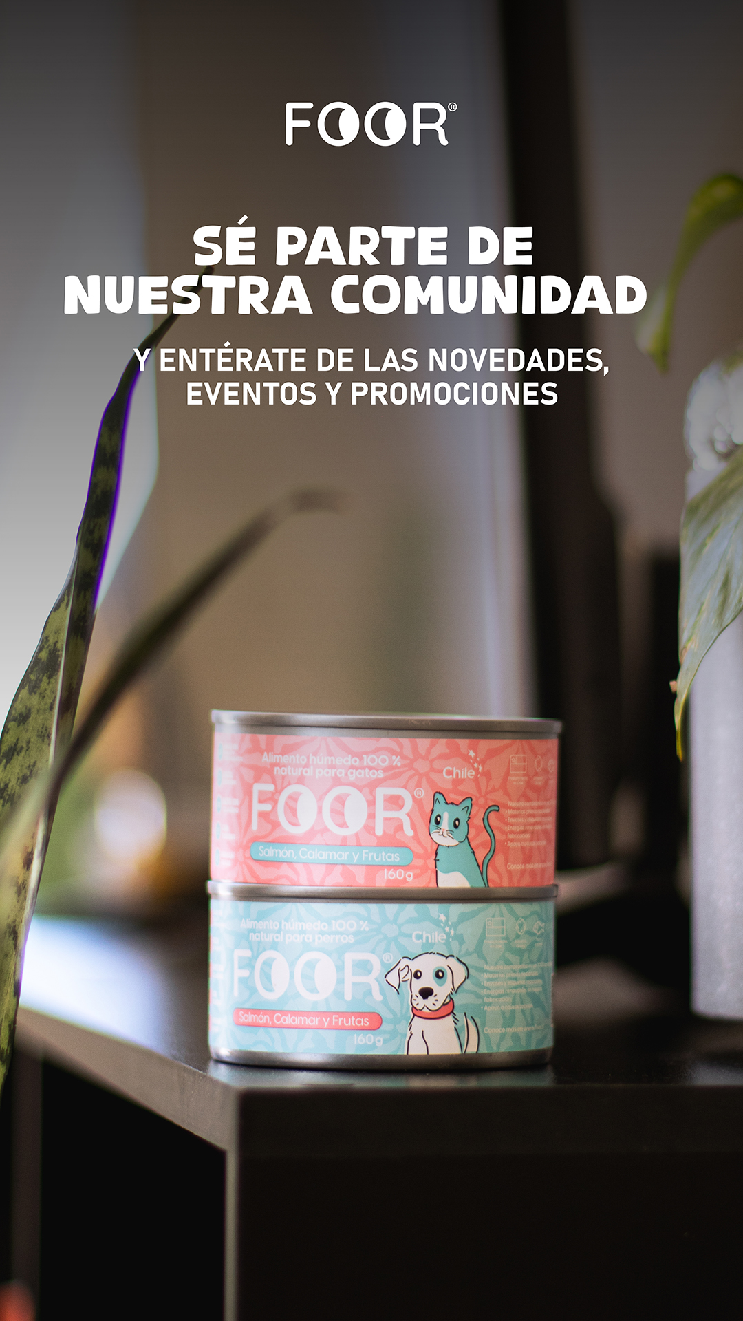 Alimentos increíbles para ir a todas con tu mascota – Foor Store