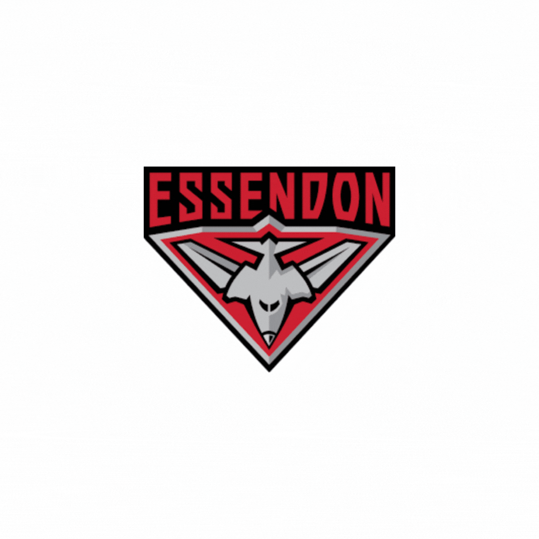 Shop Essendon Merchandise Online | Official Bombers Merch