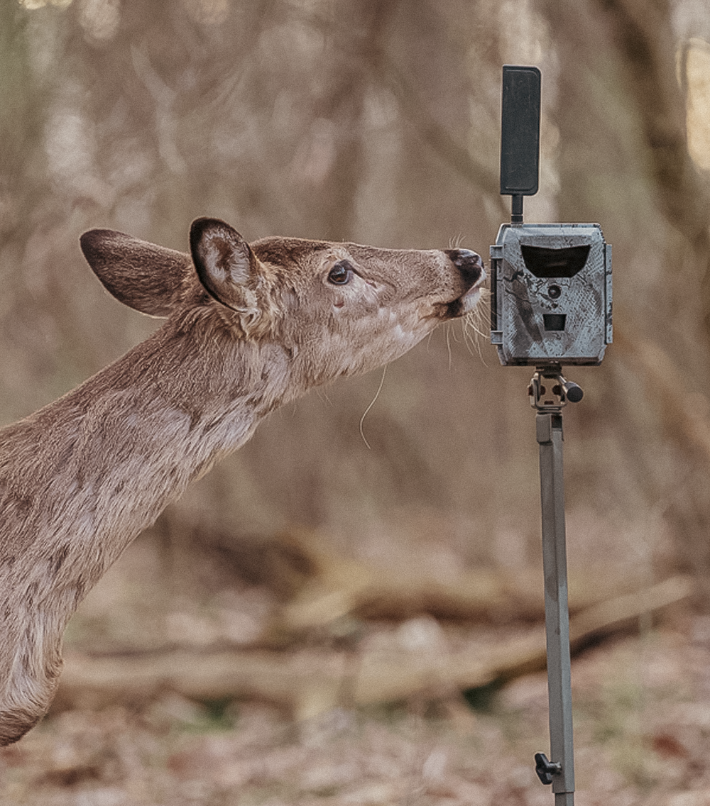 Order History – Spartan Camera