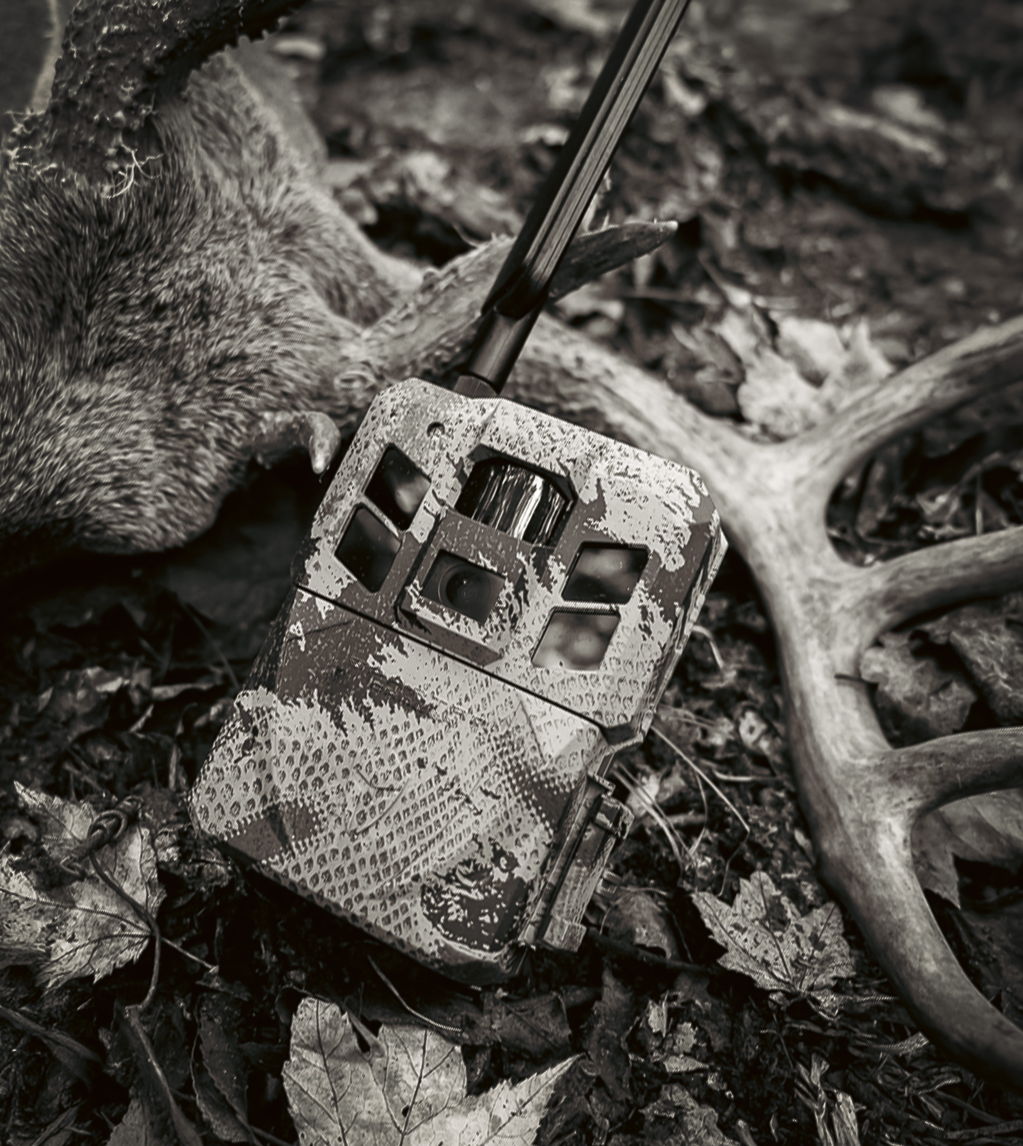 Order History – Spartan Camera