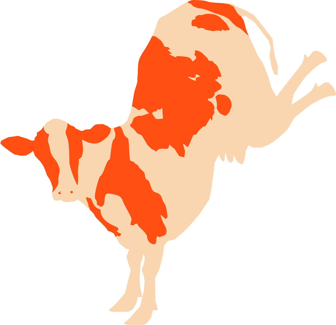 Oh Hay! Give us a holler! - Contact - The Feed Store