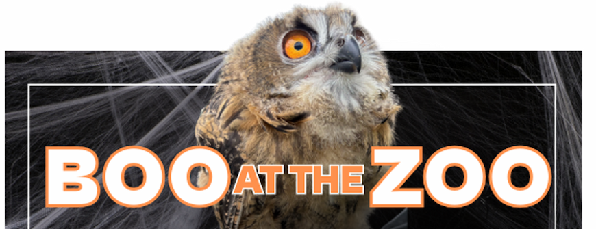 Boo at Zoo Trunk-or-Treat – NOVA Wild
