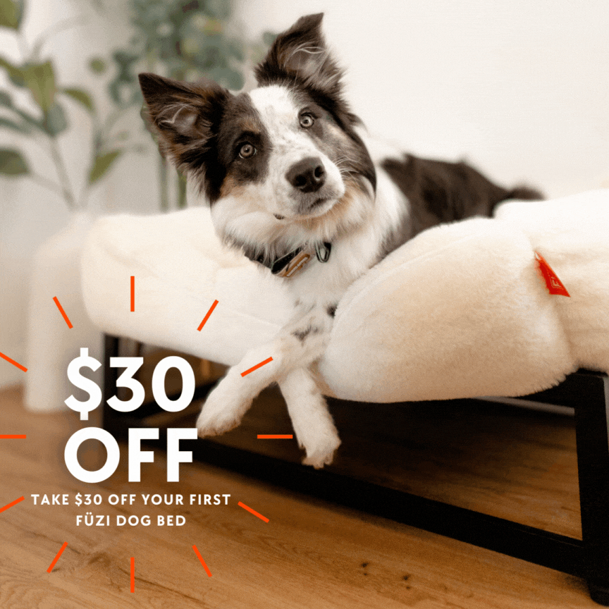F ZI Luxury Dog Beds Dog Beds On Sale Dog Beds Free Shipping
