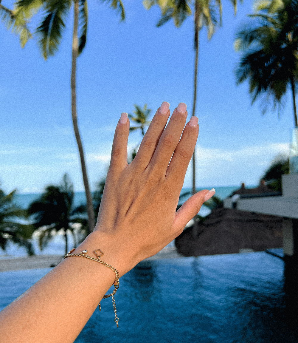 Palm Tree Gif Tumblr