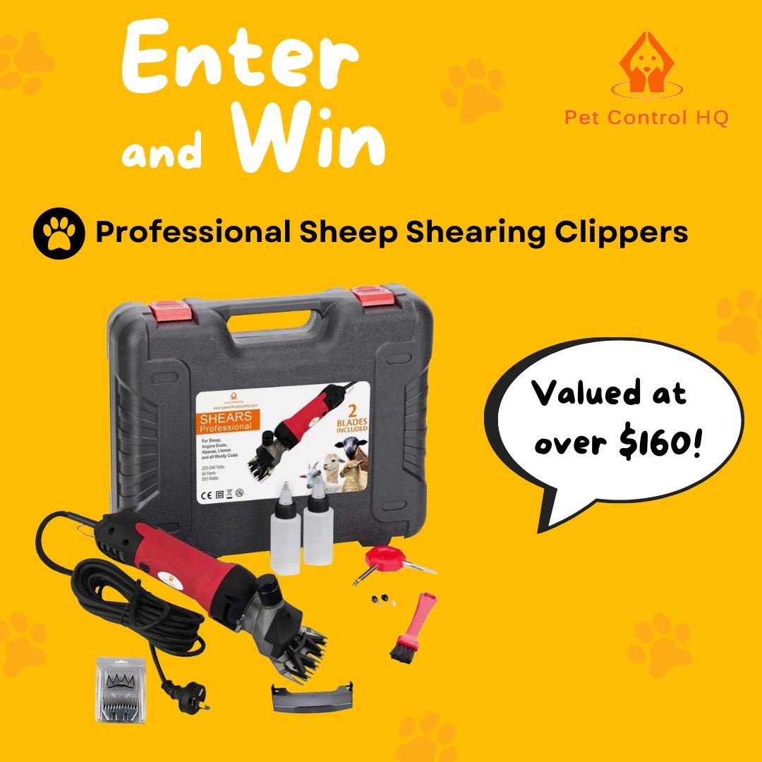 Enter to win Sheep Shearing Clippers – Pet Control HQ
