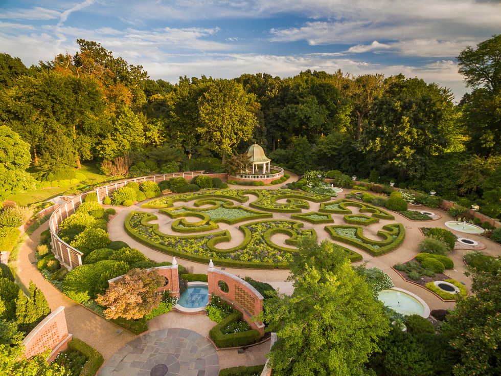Lisa Lohman Missouri Botanical Garden