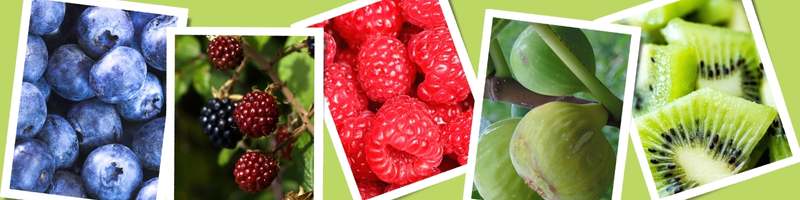 Plant your berry bushes along with your trees.