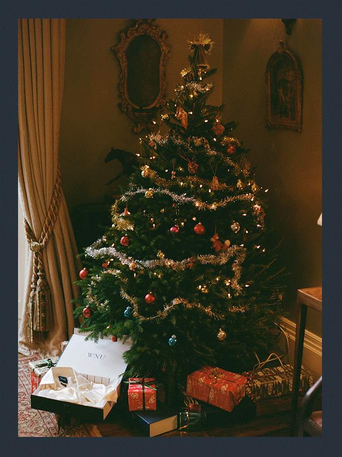 View in Your Browser