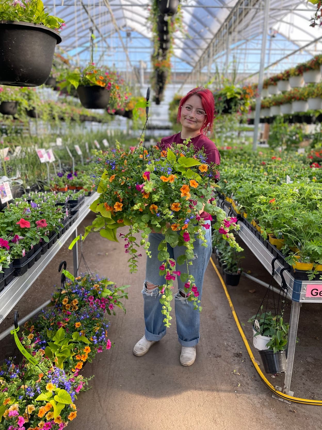 Home | Debs Greenhouse Garden Centre