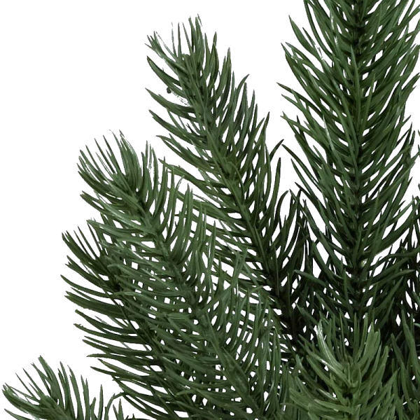 Closeup of Realistic Branches of a Balsam Hill Christmas Tree
