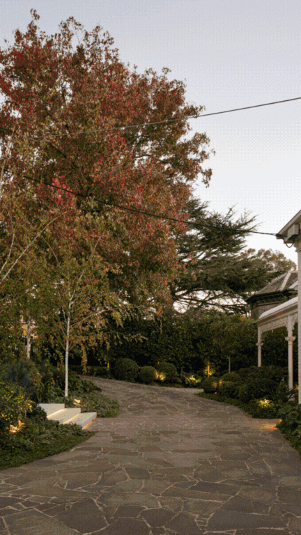 How to Select the Right Trees for Coastal Gardens | Evergreen Trees ...