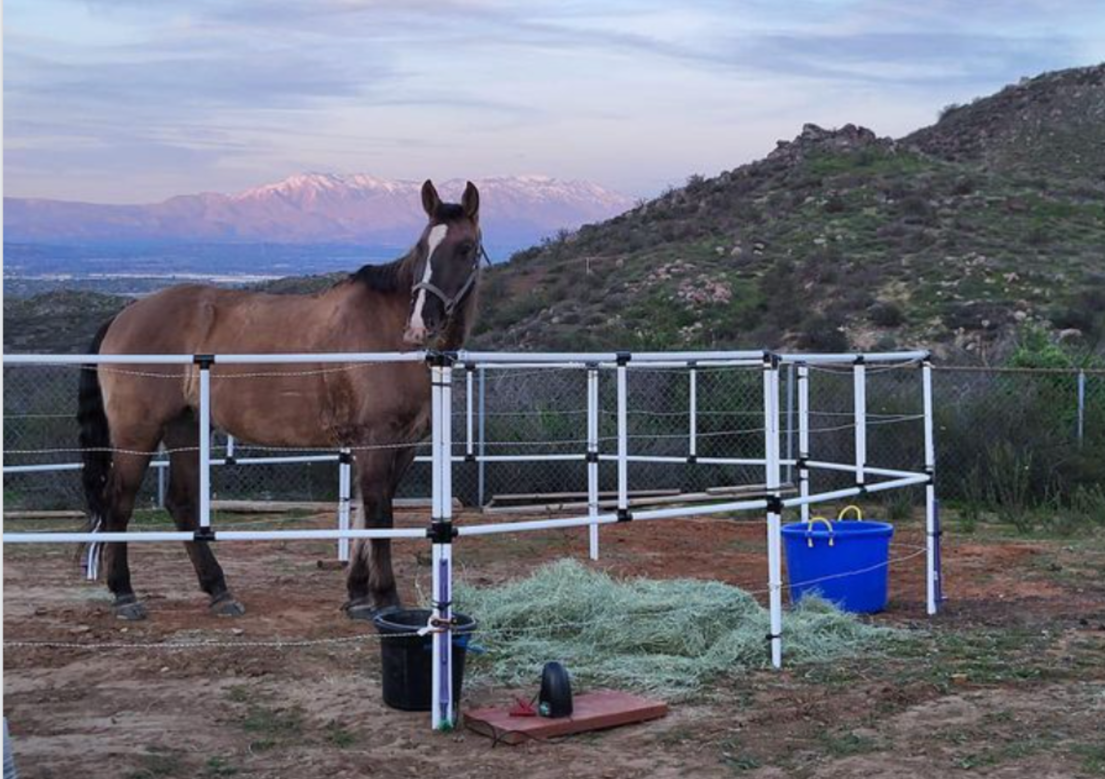 DIY Honey-Do Box Set: EconoLine (10 Panels; 3 Rails) – Camp Corrals