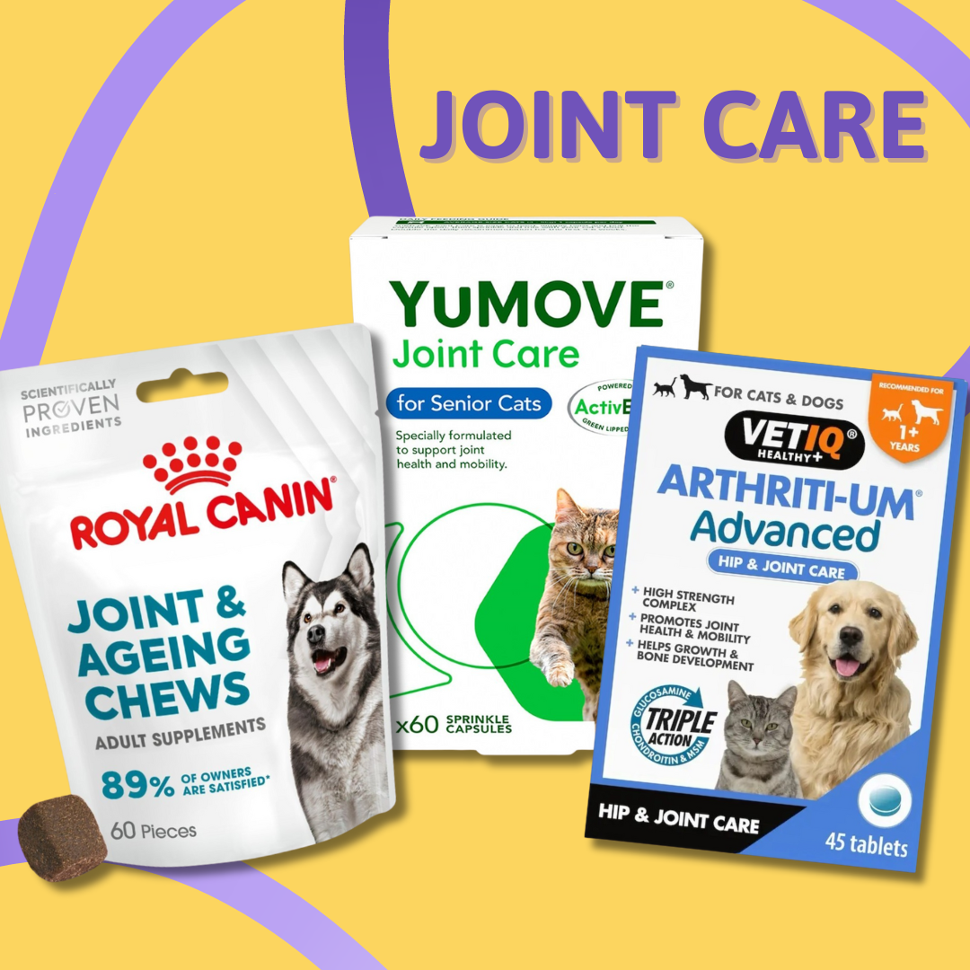 Happy New Year! Kick Off 2026 with Our January Sale - VetUK